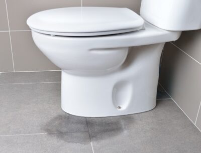 Dye Leak Test for Toilets | Toilet Leak Test